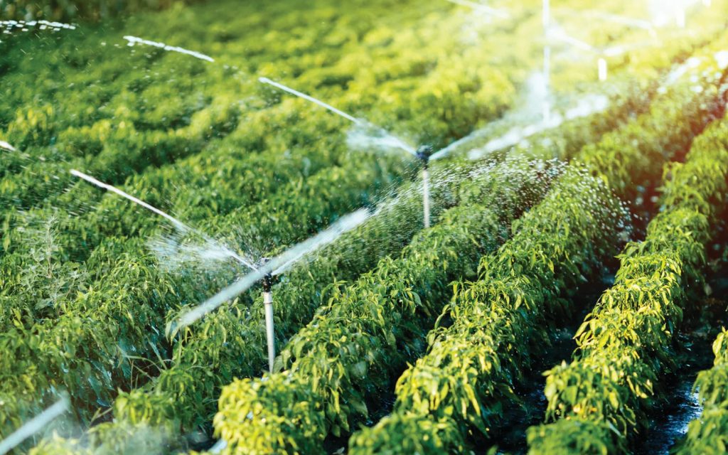 Protecting Your Irrigation System From Clogging - Amiad Water Systems